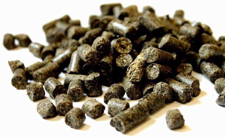 Соняшникова гранула – Svaor